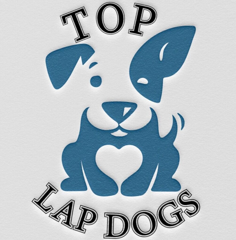 Lowchen - Top Lap Dogs